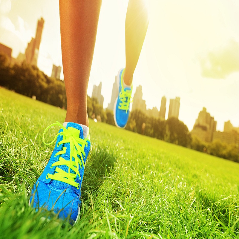 Course Of Outdoor Sports And Outdoor Physical Activities